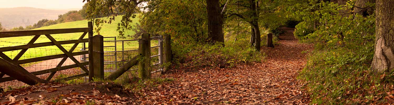 Mapscape is designed to be accessible to as many people as possible.