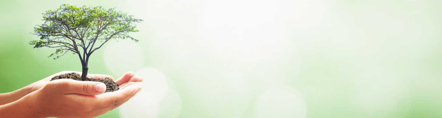 Mapscape | Tree Management Software | Site terms and Conditions