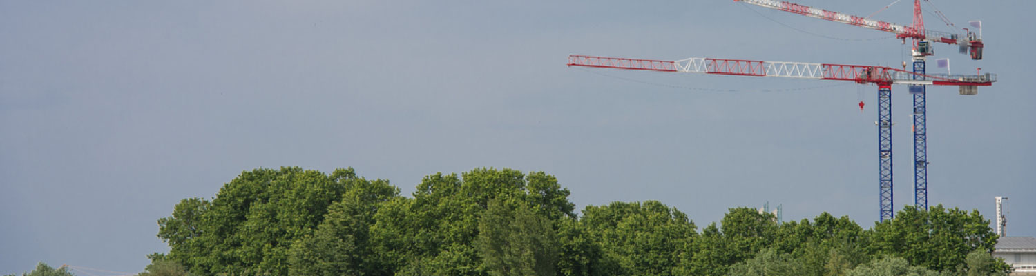 BS 5837 Tree Surveys - Mapscape