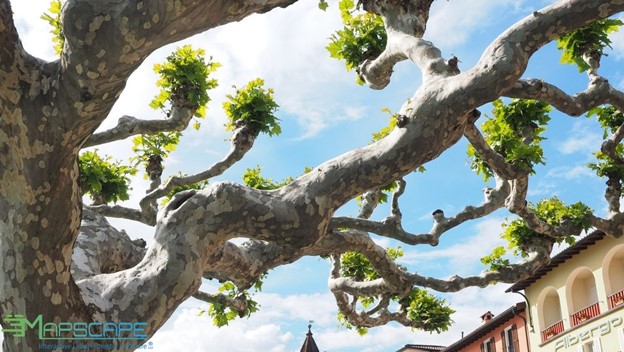 The AGILE Solution - Mapscape