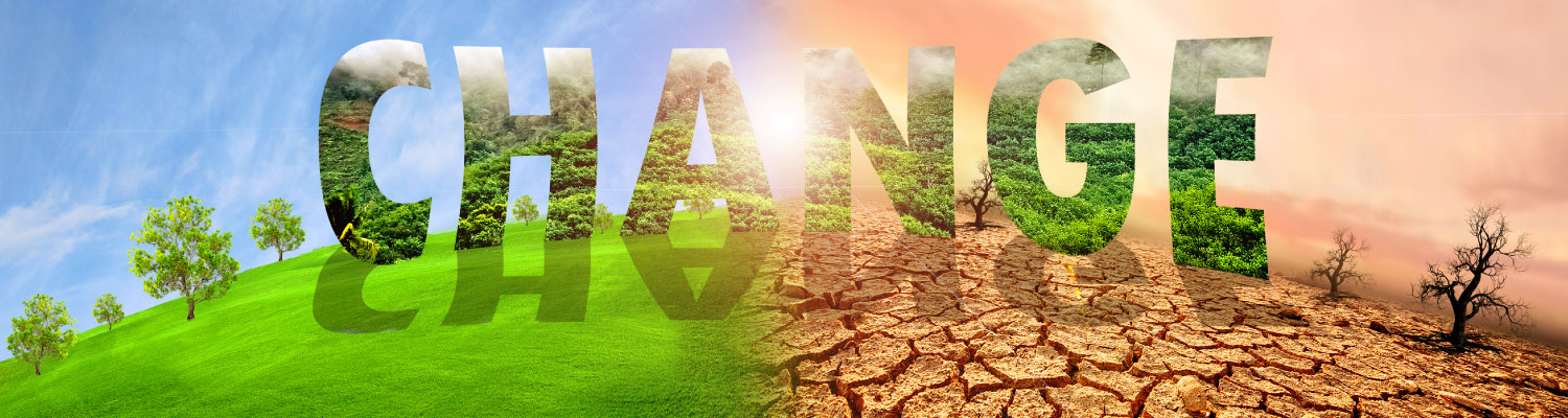 Mapscape | Trees and Climate Change