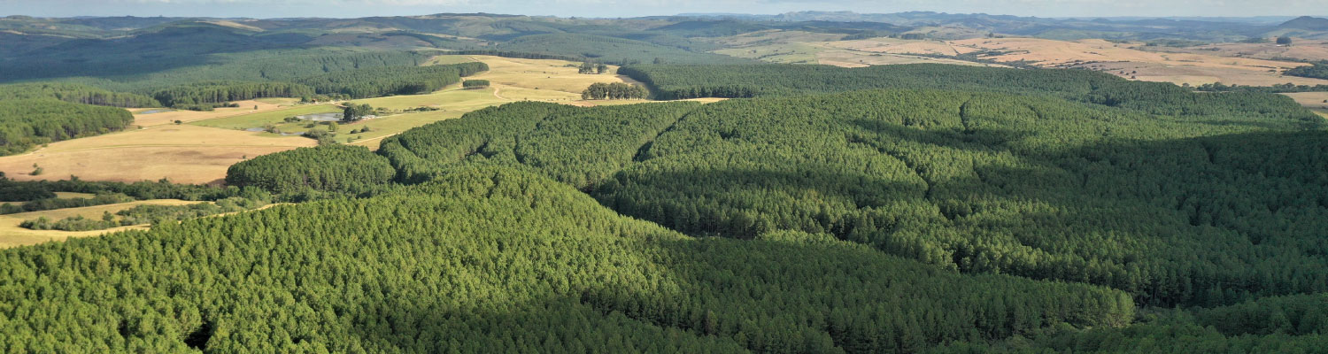 Environmental Policy - Mapscape