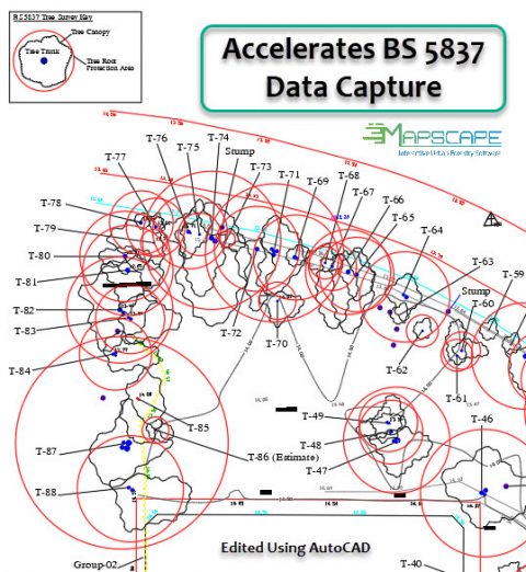 Brings Together BS 5837 Tree Survey Processes