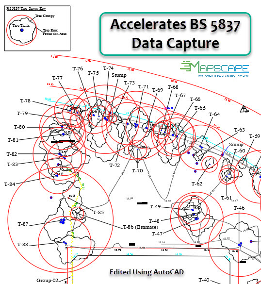 Brings Together BS 5837 Tree Survey Processes
