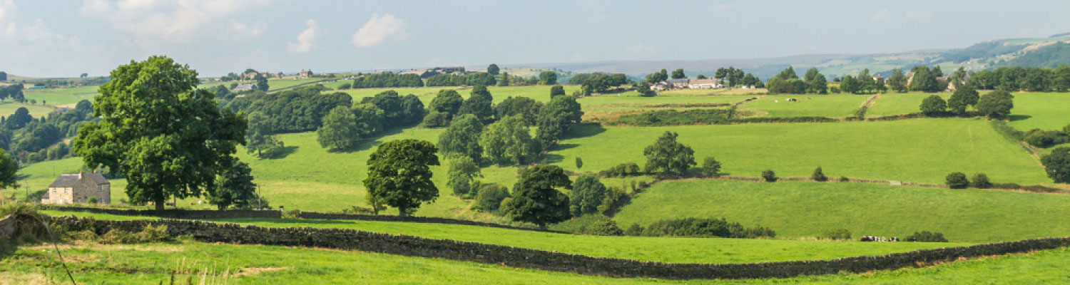 Data Security - Mapscape