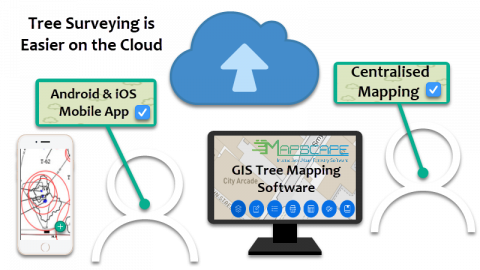 BS 5837 Tree Survey GIS Software - Mapscape