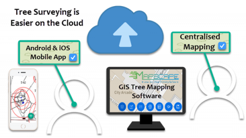 Mapscape - Tree Survey Software