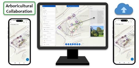 BS 5837 Tree Surveys - Mapscape