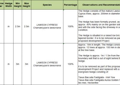 BS 5837 Tree Surveys - Mapscape