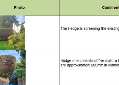 BS 5837 Tree Surveys - Mapscape