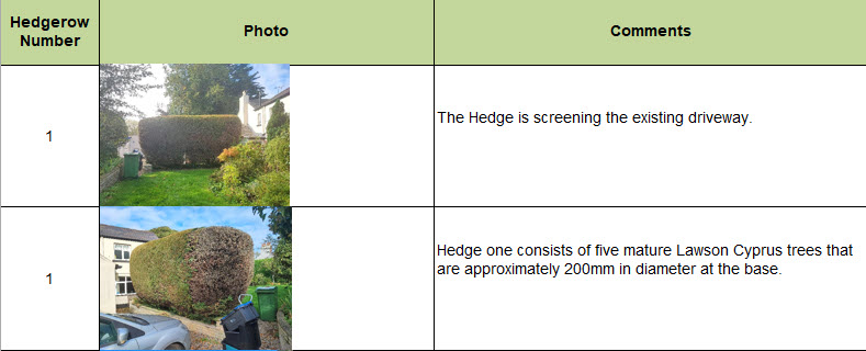 BS 5837 Tree Surveys - Mapscape