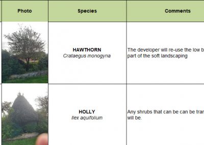 BS 5837 Tree Surveys - Mapscape