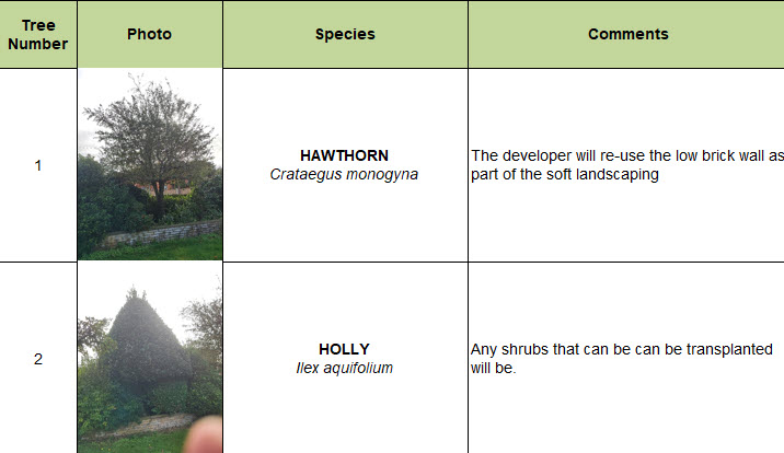 BS 5837 Tree Surveys - Mapscape