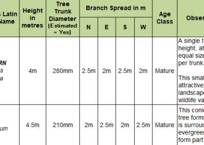 BS 5837 Tree Surveys - Mapscape