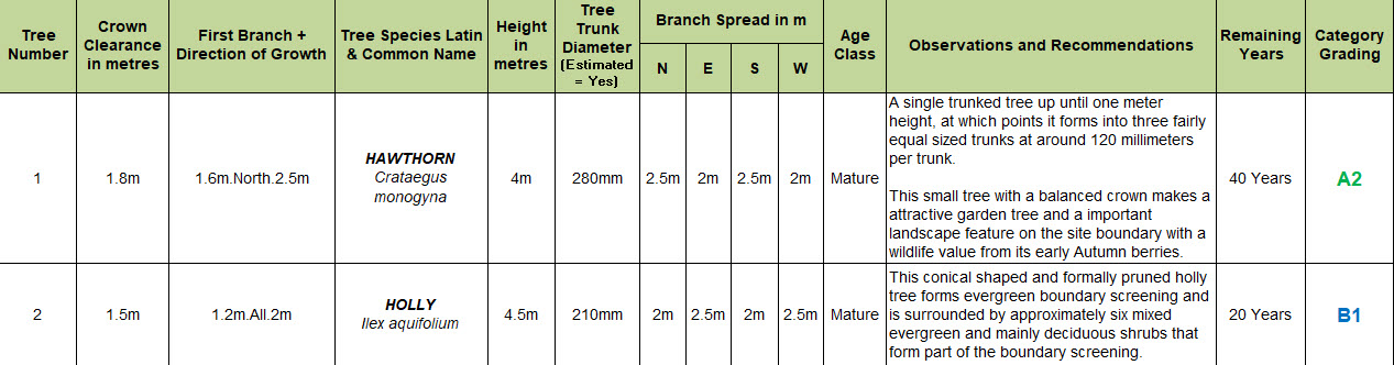 BS 5837 Tree Surveys - Mapscape
