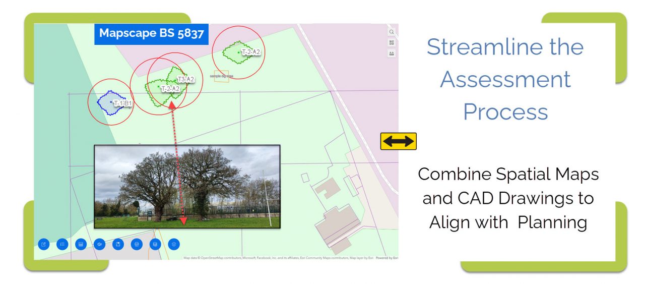 Tree Management Software.