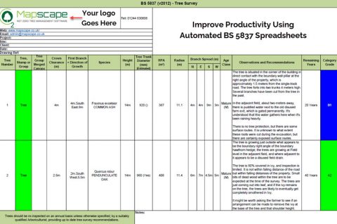 BS 5837 Tree Surveys - Mapscape
